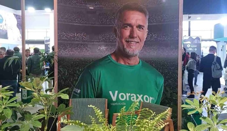El innovador herbicida Voraxor de BASF: un avance en el control de ...